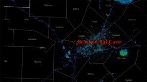 What can weather radars tell us about bats? – BoulderCAST